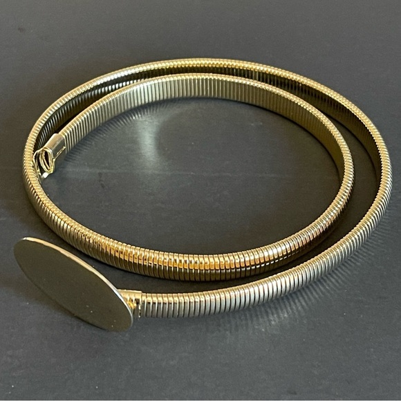 Accessories | Vintage Goldtone Snake Chain Belt | Poshmark